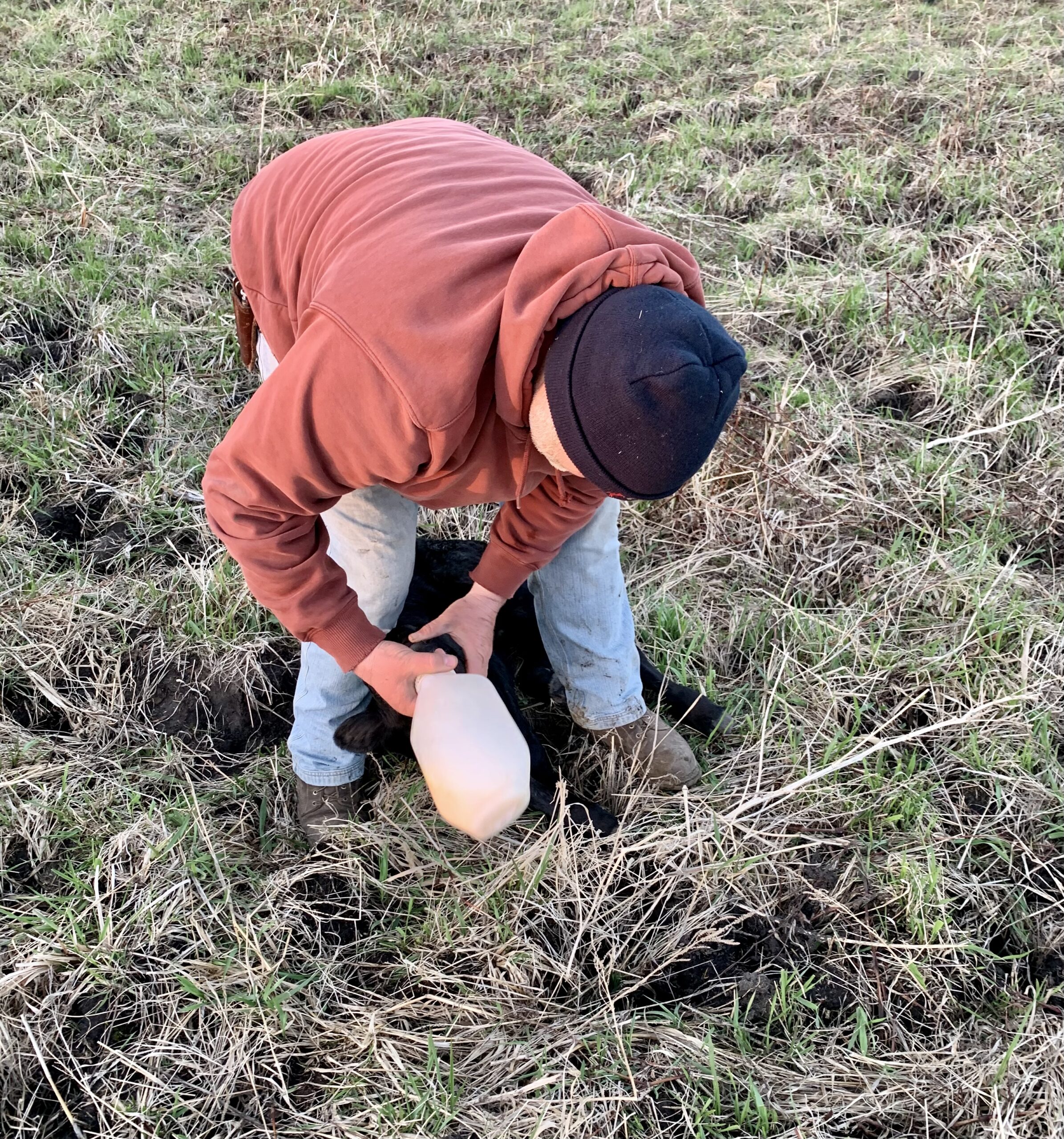 USING THE RIGHT COLOSTRUM PRODUCTS - Colostrx